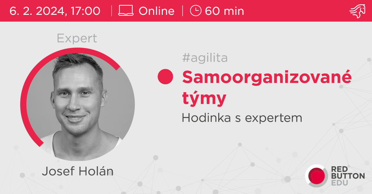 Samoorganizované týmy – Red Button EDU